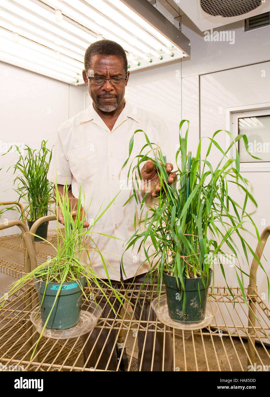 A USDA agronomist conducts research at Beltsville Agricultural Research ...