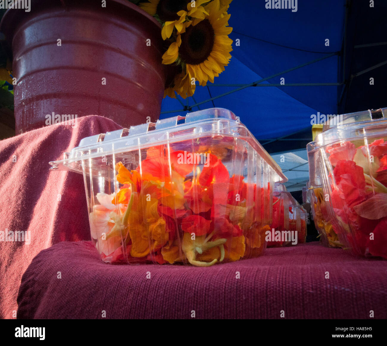 This image features a USDA initiative focused on community outreach ...