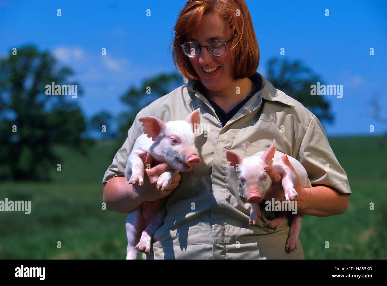 The USDA conducts research on hogs and pigs through its Agricultural ...