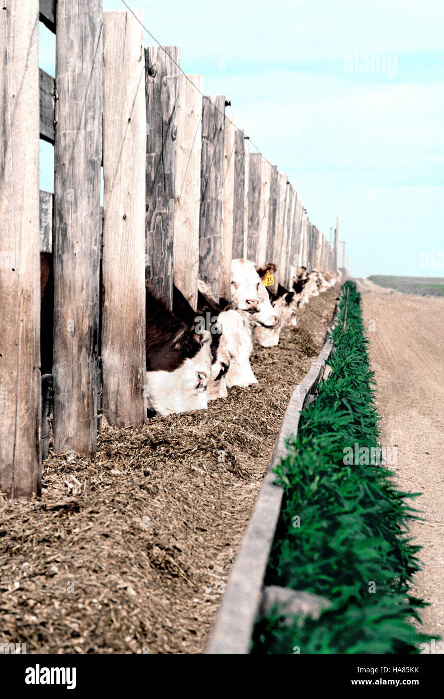 The U.S. Department of Agriculture's Agricultural Research Service ...