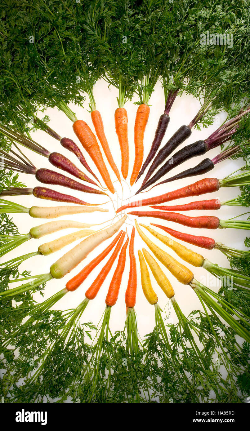 Vegetable breeding improve hi-res stock photography and images - Alamy