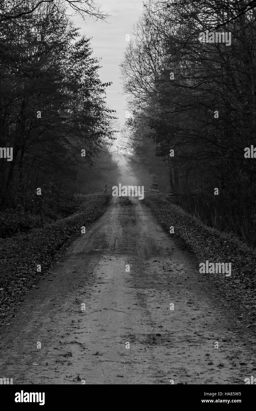 The endless road Black and White Stock Photos & Images - Alamy