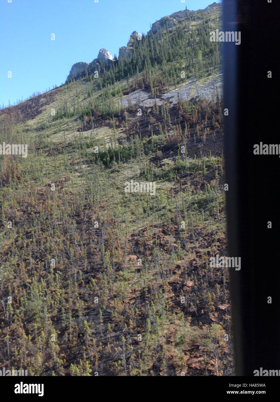 Jessica green hi-res stock photography and images - Alamy