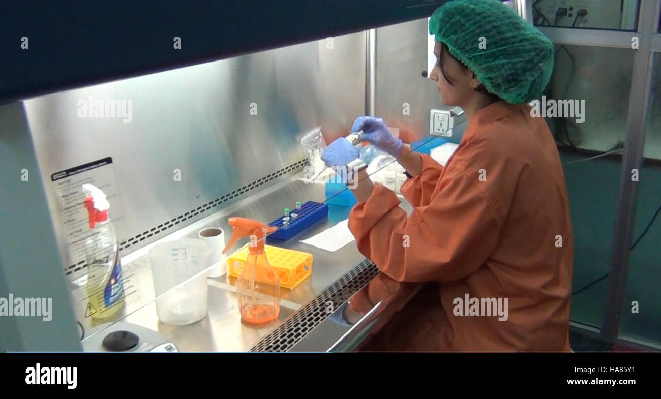 This image shows work being conducted in the USDA’s PCR (Polymerase ...