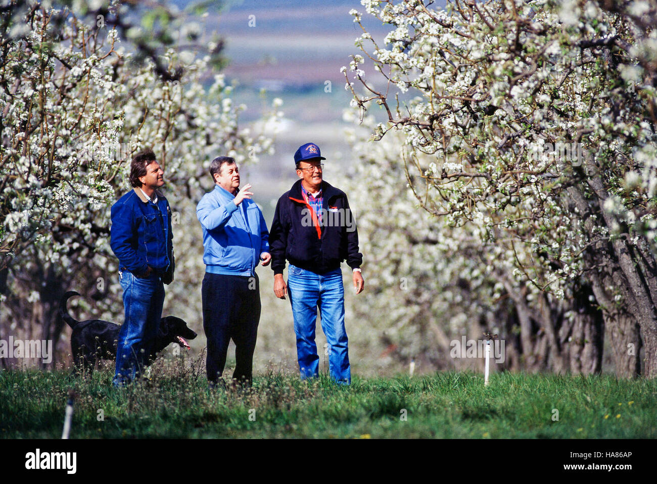 A USDA initiative focuses on supporting national parks across the ...