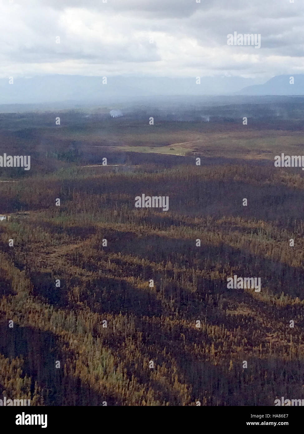 20150612 hi-res stock photography and images - Alamy