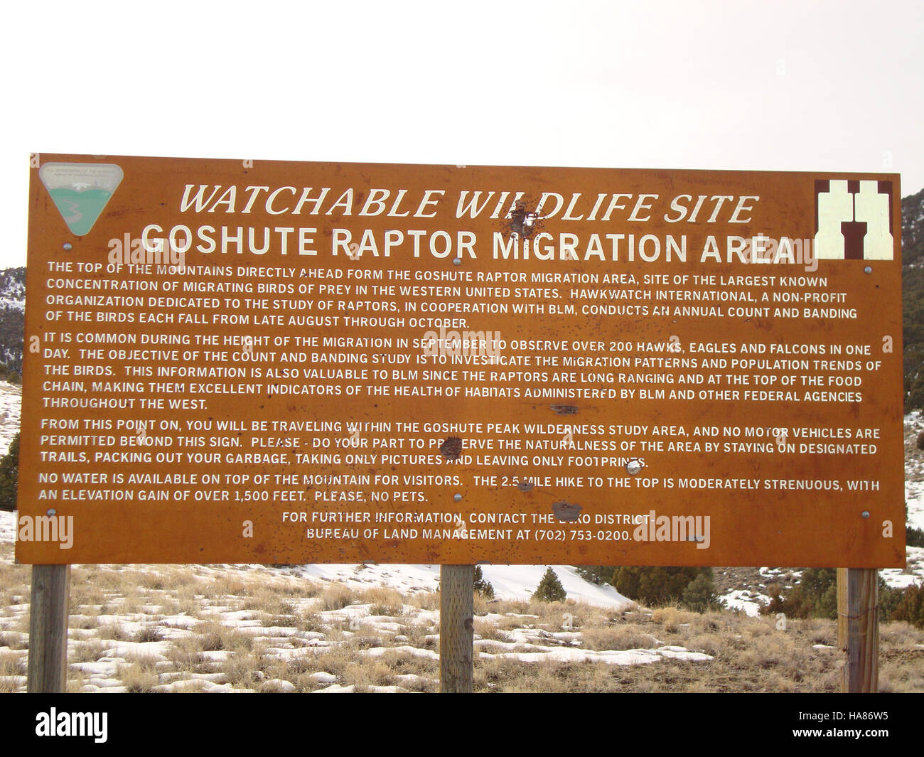 The Goshute Raptor Migration Area in Nevada serves as a crucial ...