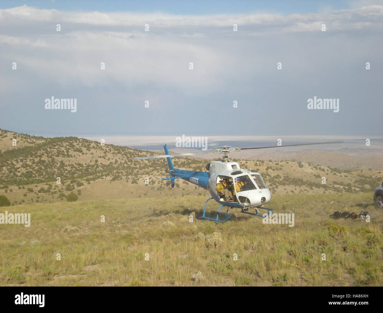 Goshute park hi-res stock photography and images - Alamy