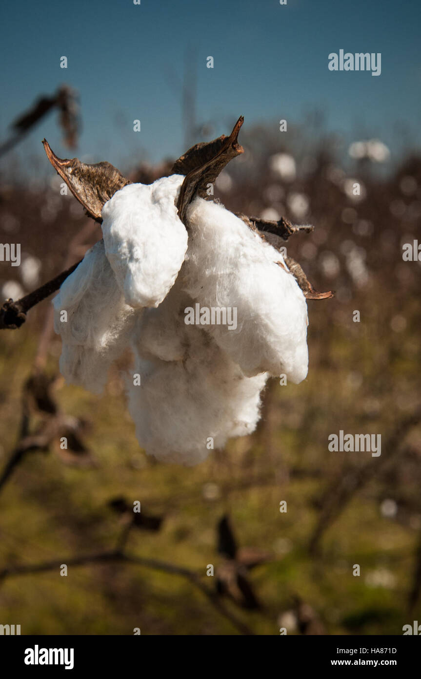 3901 hi-res stock photography and images - Alamy
