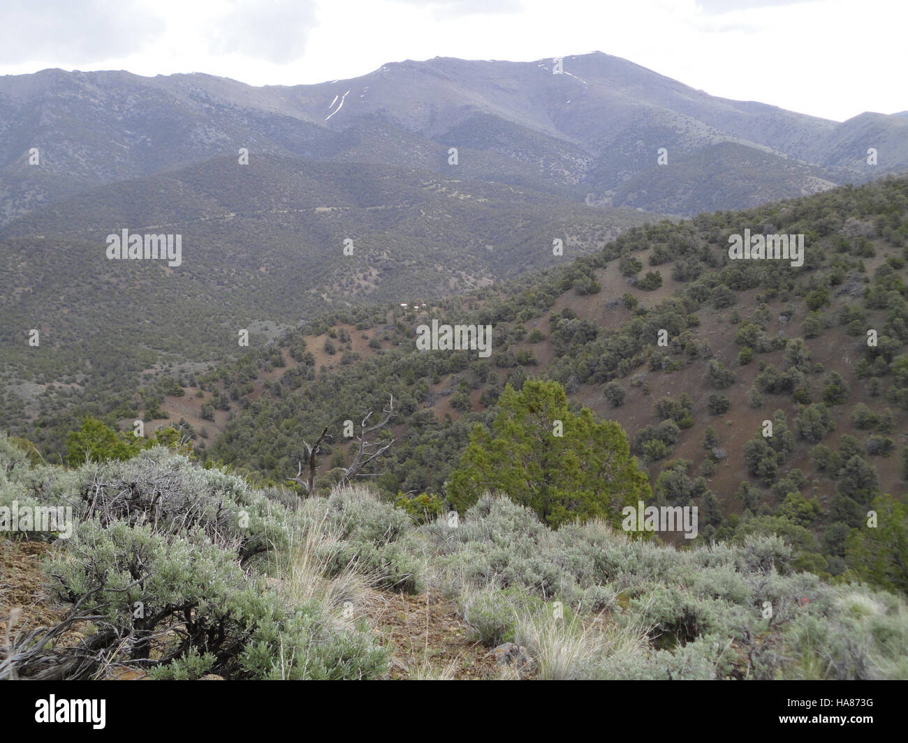 The Shoshone Off-Highway Vehicle Trail in Nevada provides an outdoor ...