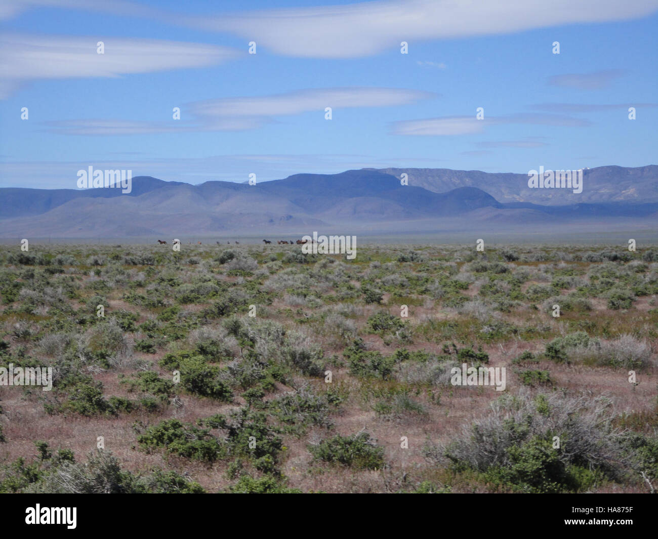 The Shoshone Off-Highway Vehicle Trail in Nevada provides a designated ...