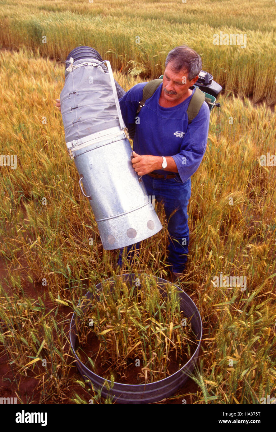 The USDA's Agricultural Research Service (ARS) conducts research on ...