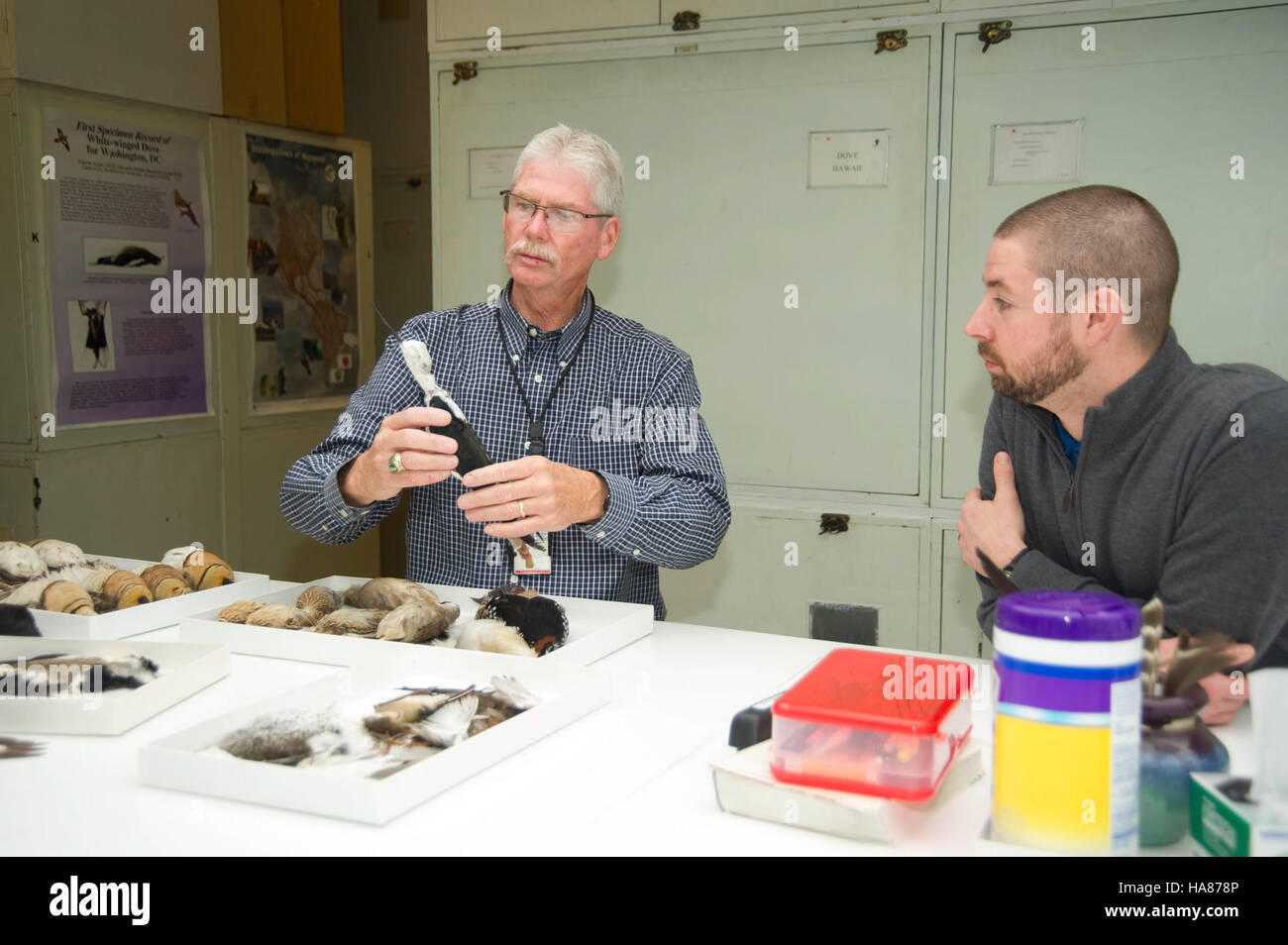 George Rae High Resolution Stock Photography and Images - Alamy