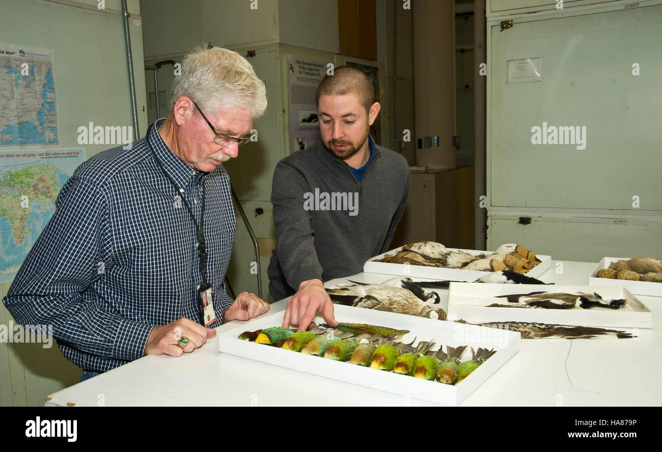 This image depicts a USDA APHIS initiative related to wildlife ...