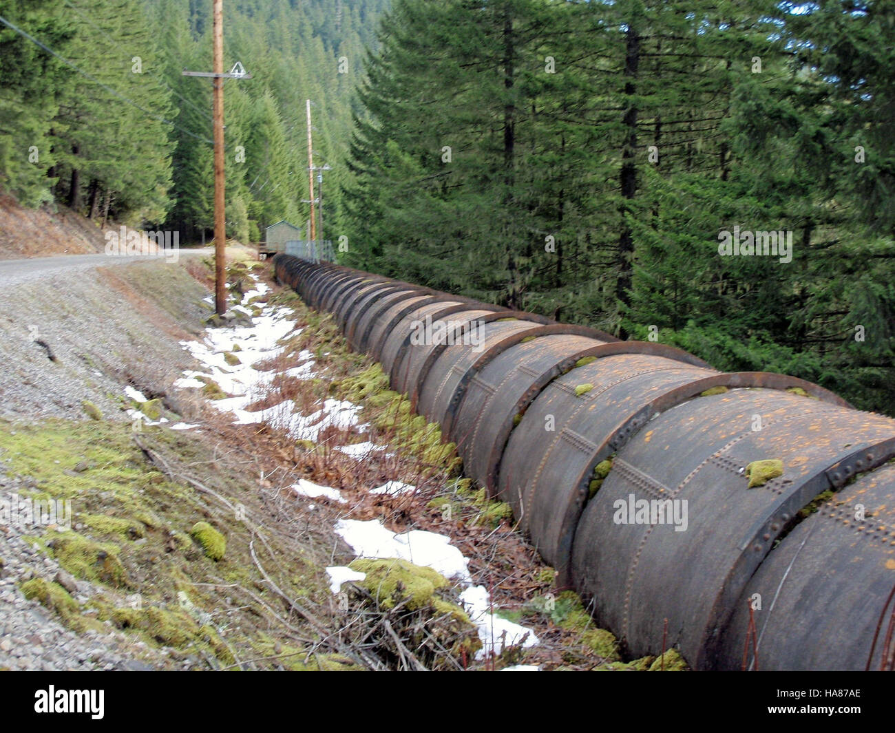 Safe passage for wildlife hi-res stock photography and images - Alamy