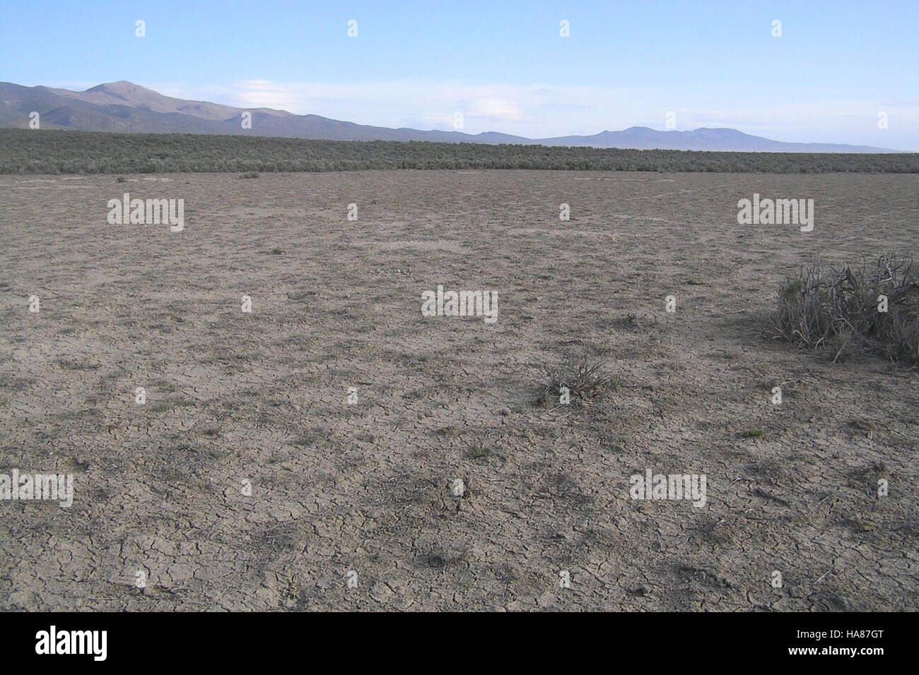 The Sickle Saltbrush Site, located within a National Park managed by ...