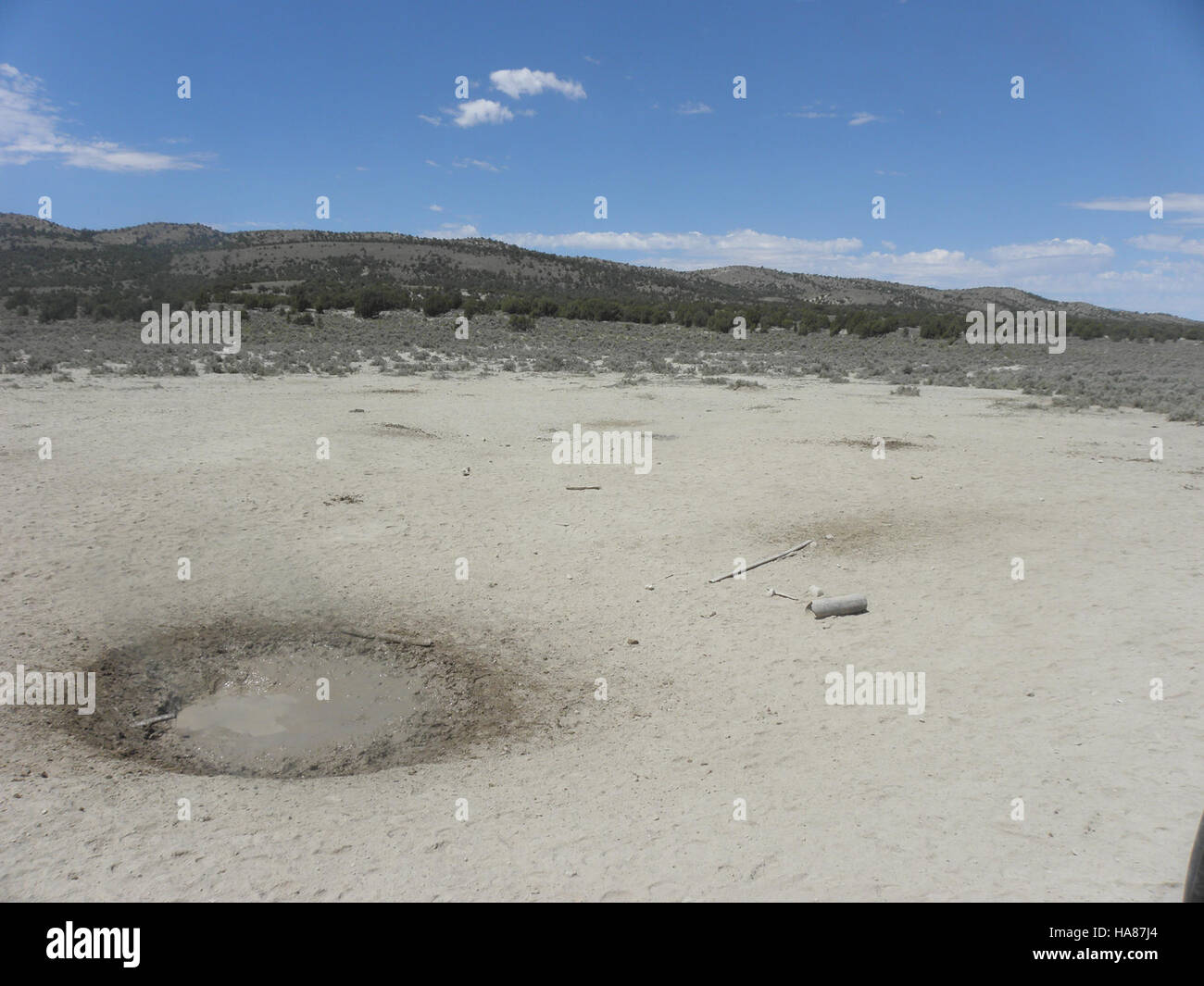 Sabala Spring in Nevada, managed by the Bureau of Land Management, is ...