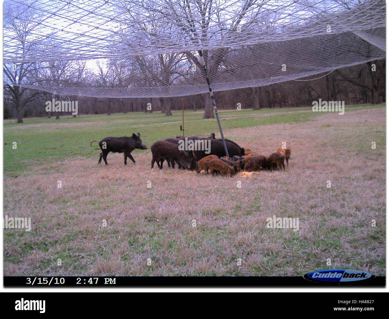 The image features an APHIS (Animal and Plant Health Inspection Service ...