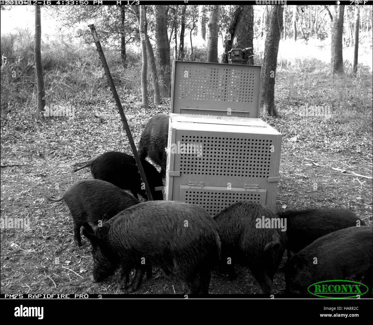 A photo of USDA’s Animal and Plant Health Inspection Service (APHIS ...