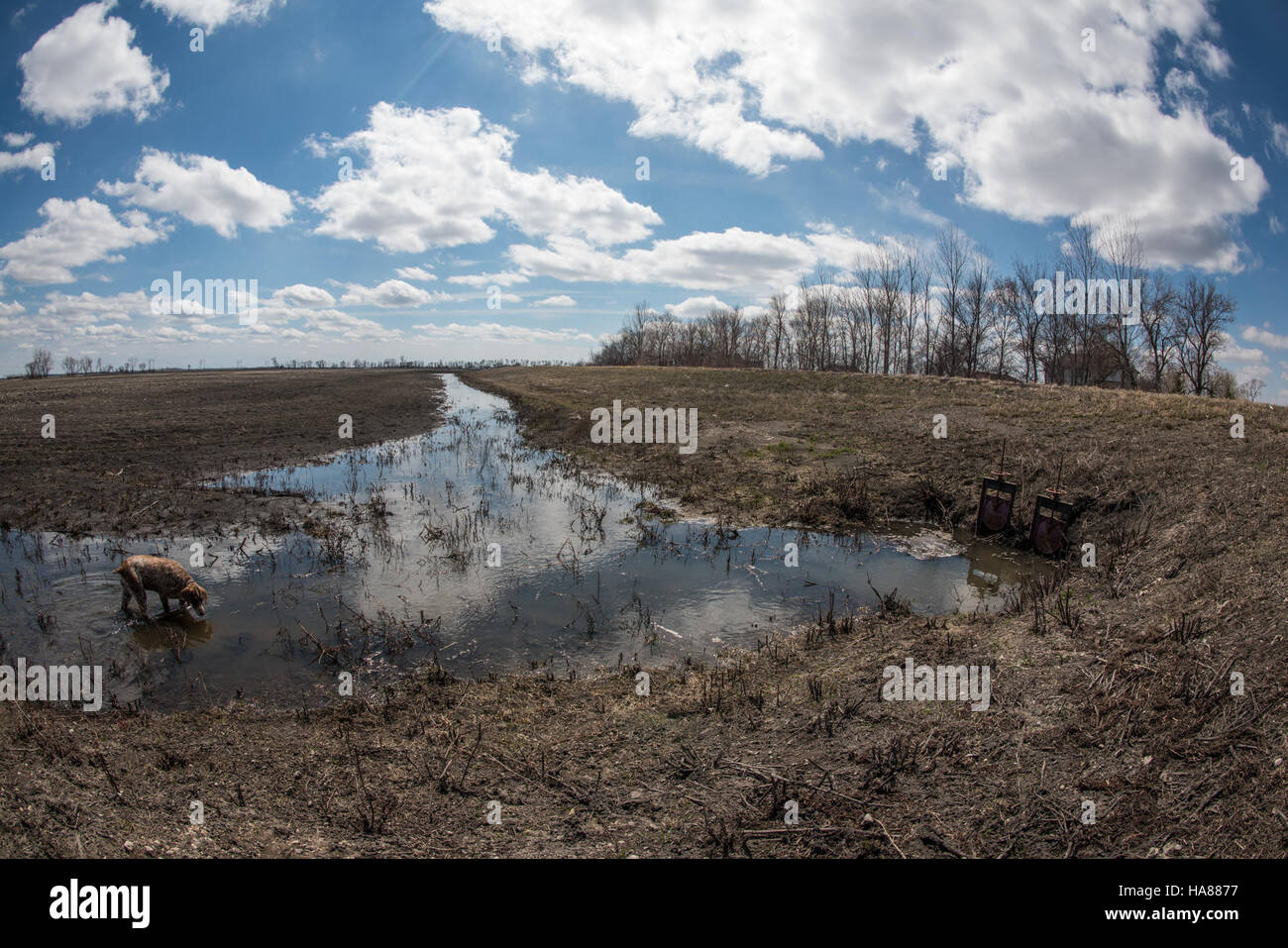 This image highlights the USDA's National Resources Conservation ...
