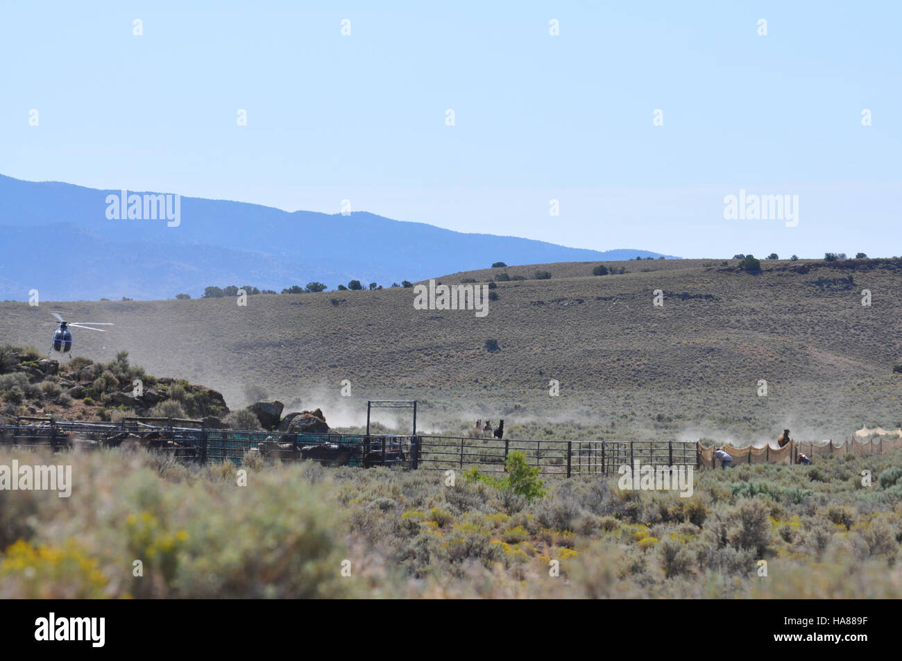 A view of a landscape within a National Park, showcasing the natural ...