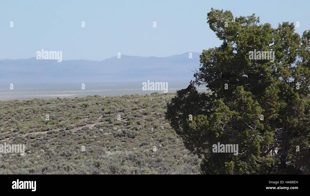 A photograph taken in Nevada showcases the rugged desert landscape ...