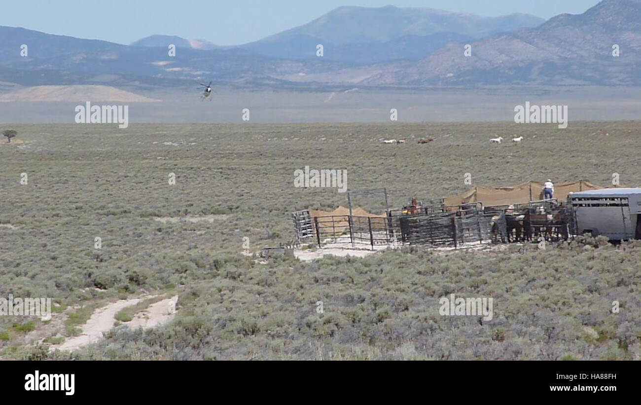 A historical photograph of a landscape showing trees, captured by S ...