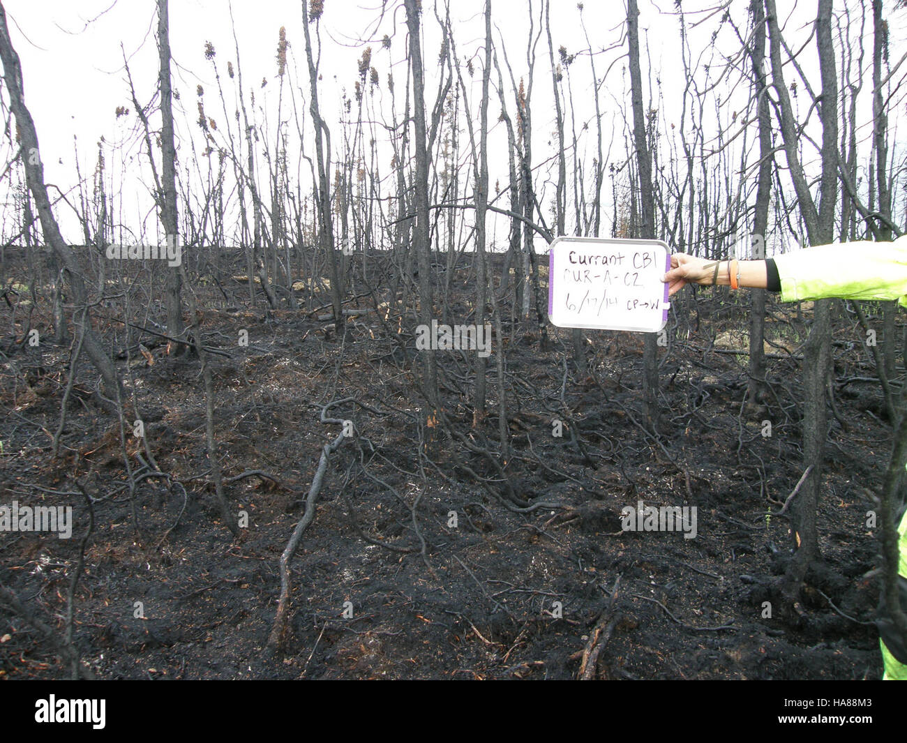 Photo from alaska fire hi-res stock photography and images - Alamy