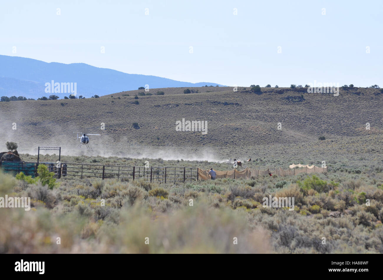 Photograph of a vast Nevada landscape featuring rocky terrain ...