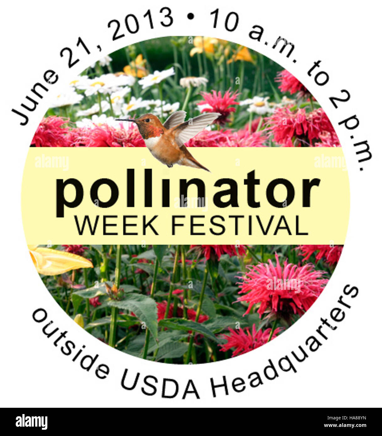 Pollinator species Cut Out Stock Images & Pictures - Alamy