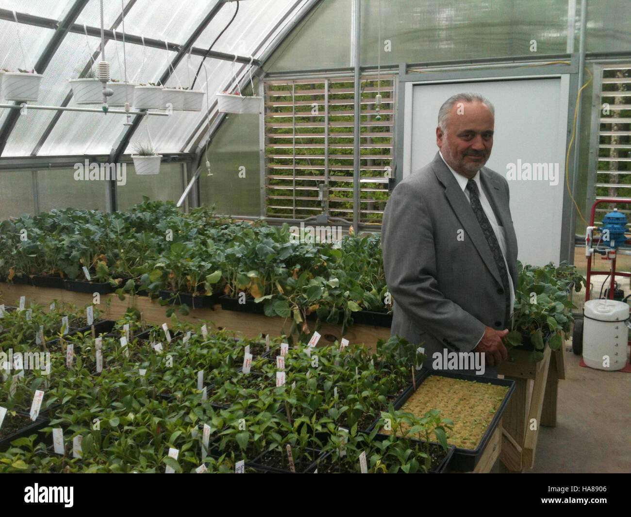 Bobby Lewis is seen working in the Tucker Greenhouse, part of a ...