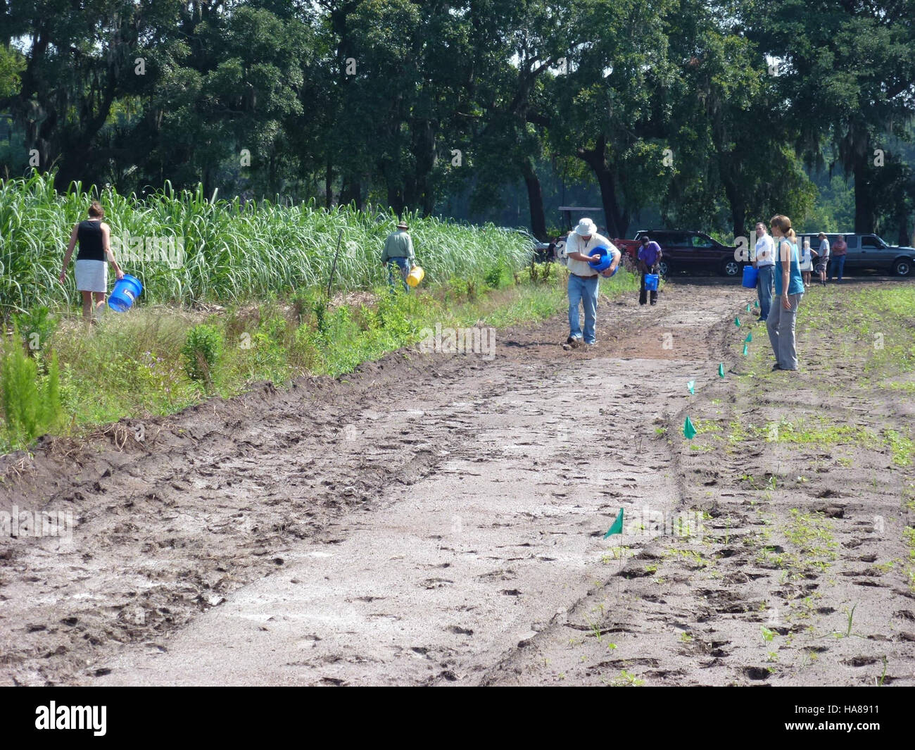 Seed Broadcasting Stock Photos & Seed Broadcasting Stock Images - Alamy