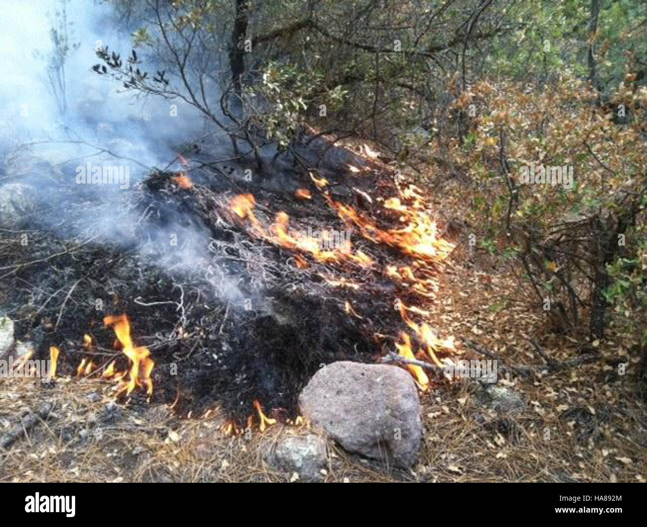 The Silver Fire is a wildfire event in a national park that affected ...