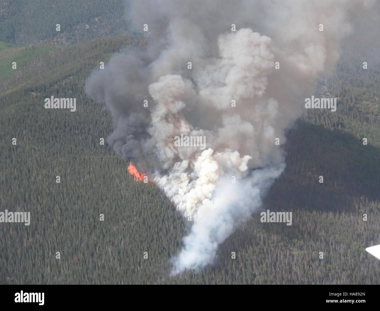 The Jaroso Fire, a forest fire managed by the USDA Forest Service ...