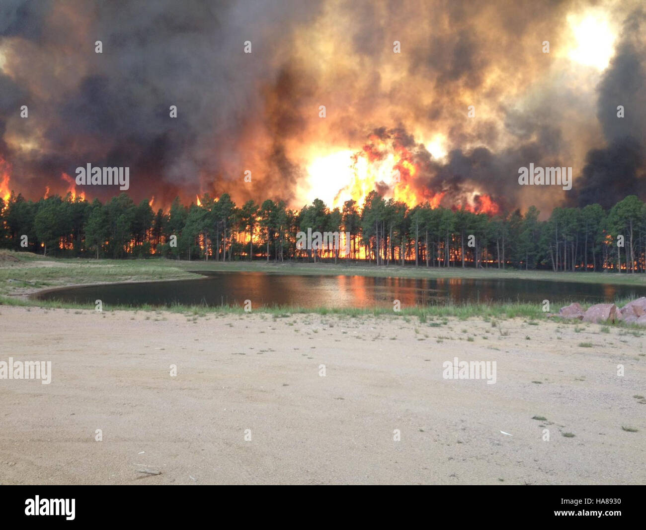 Firewise is a program focused on preventing wildfires in the Black ...