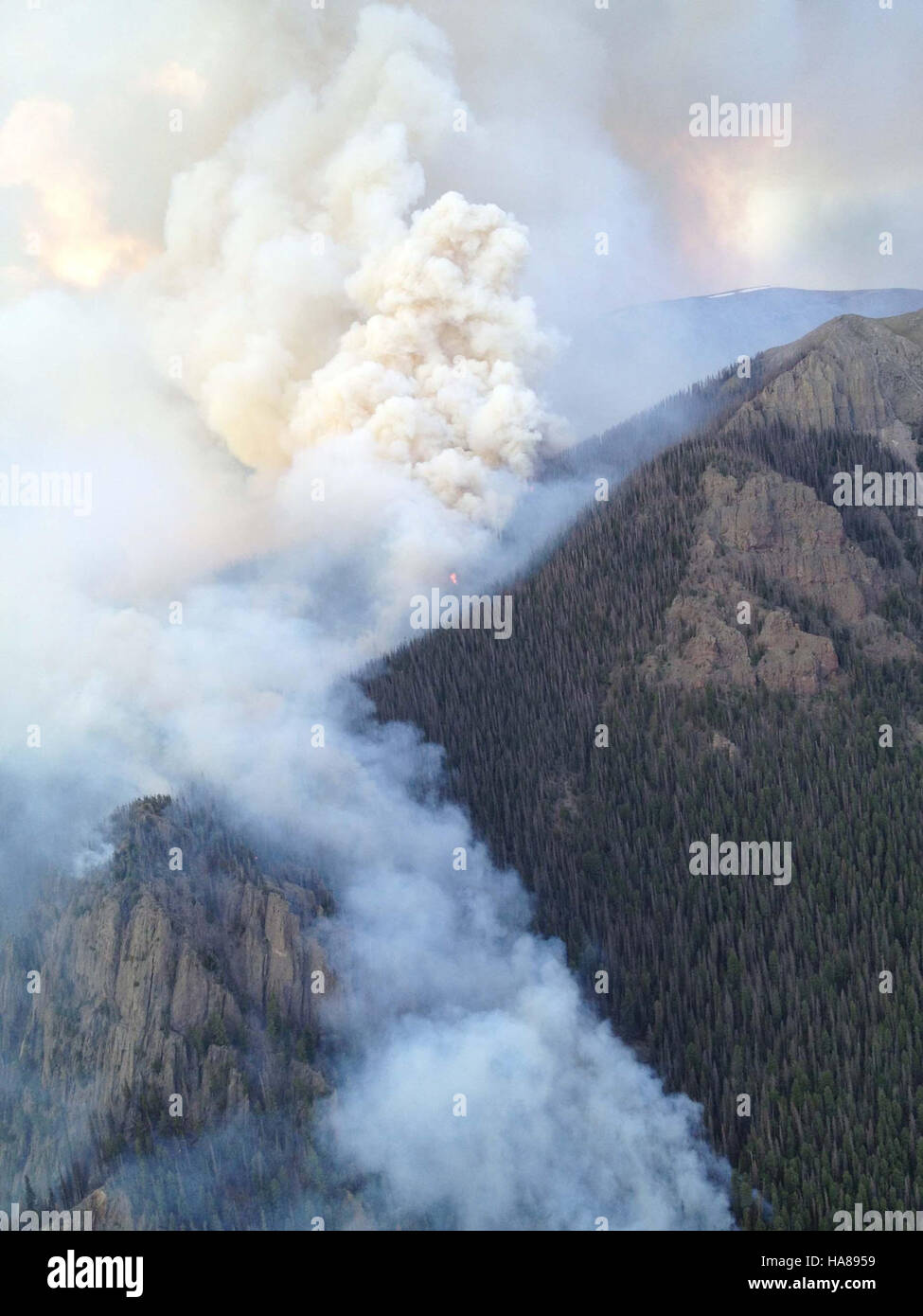 This image from the U.S. Department of Agriculture highlights forest fires, including the ...