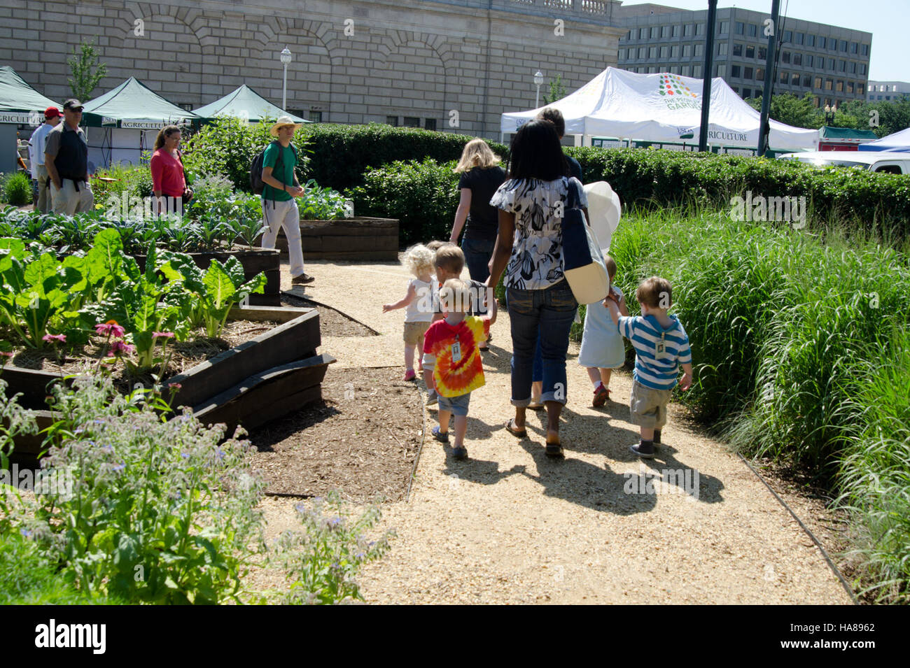 The USDA promotes honey bee conservation efforts, focusing on Italian ...