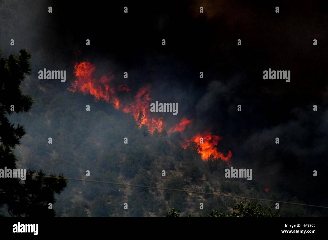 A forest fire, known as the Silver Fire, burns through a wooded area ...
