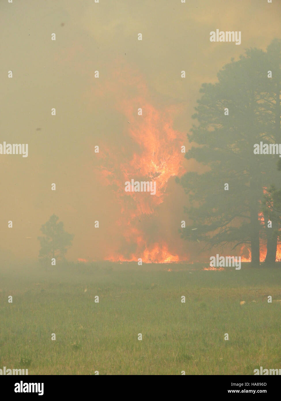The East Peak Forest Fire exemplifies the challenges of wildfire ...