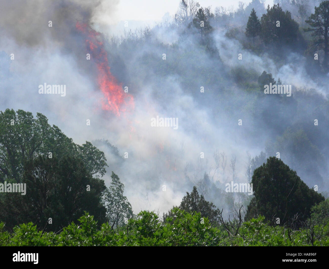 The East Peak Forest Fire in 2013 demonstrated the importance of fire ...