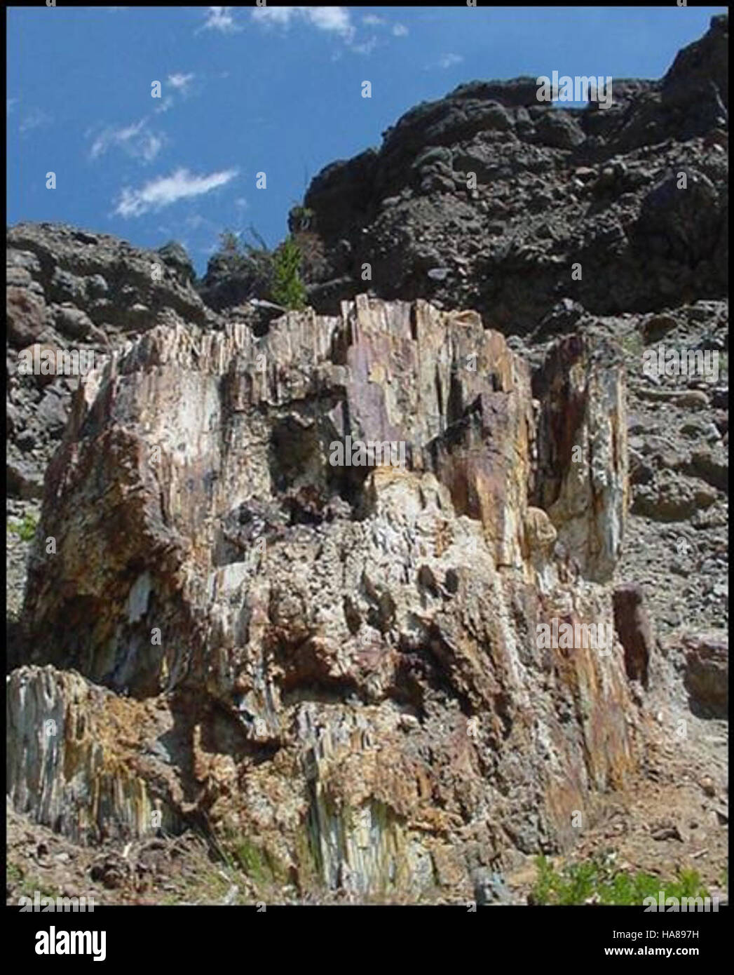 The Petrified Forest National Park, known for its ancient fossilized ...