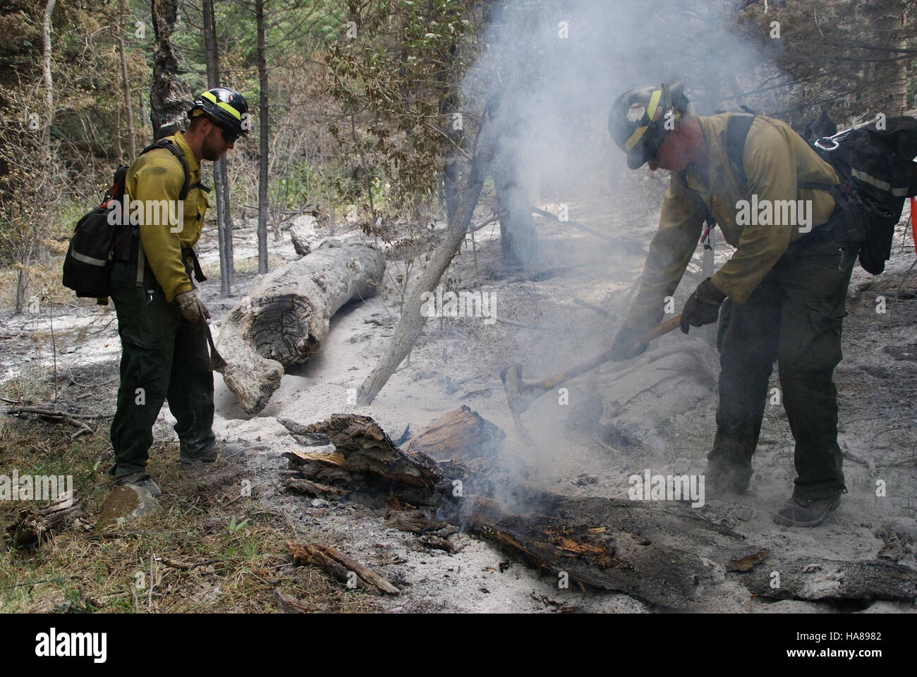 The East Peak Fire, managed by USDA Forest Service firefighters, was a ...