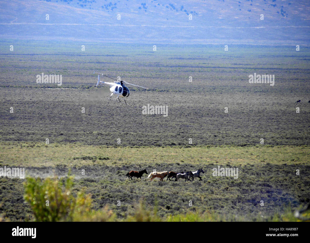 This image captures the natural landscape of a National Park managed by ...