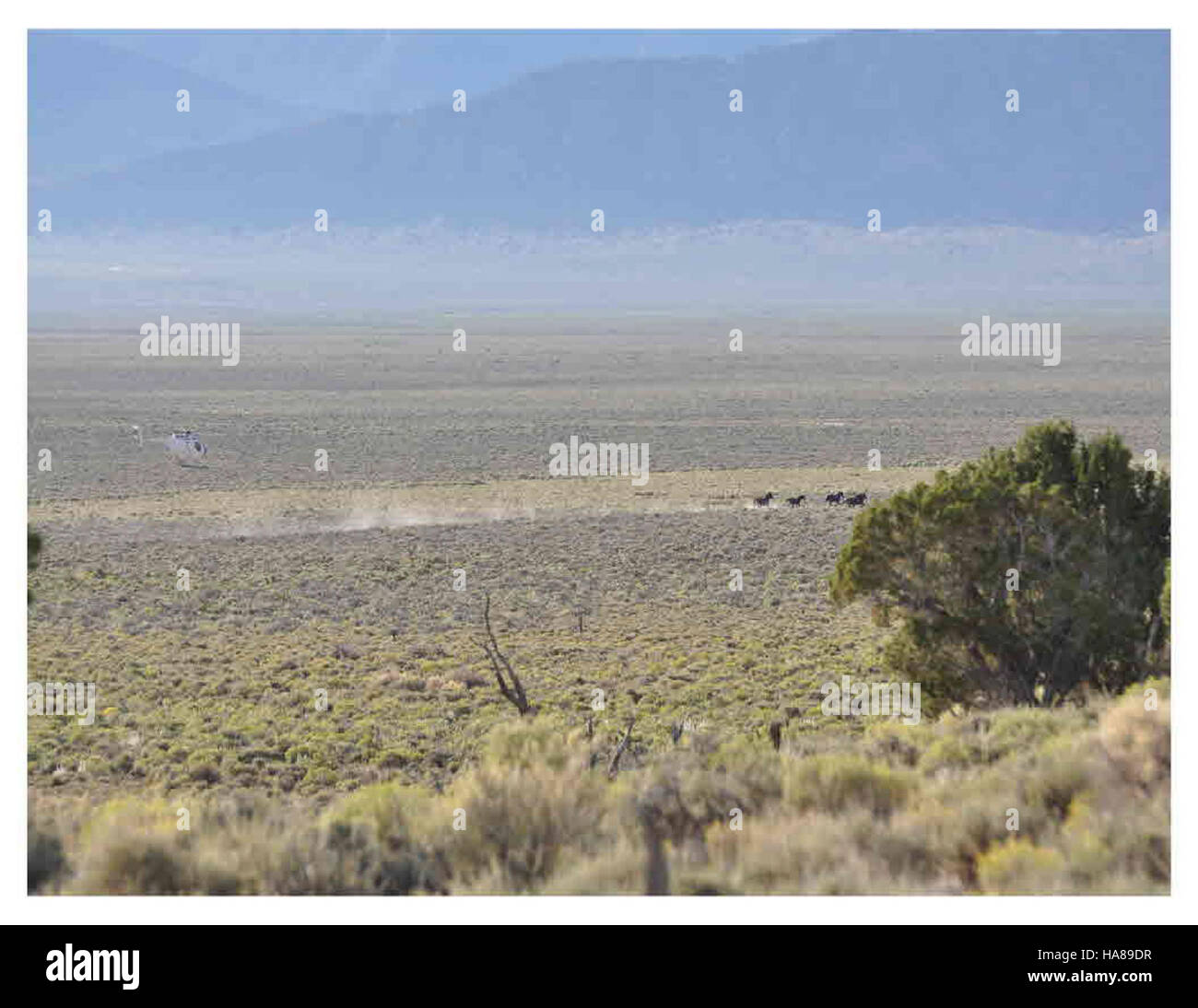 National park service management Cut Out Stock Images & Pictures - Alamy