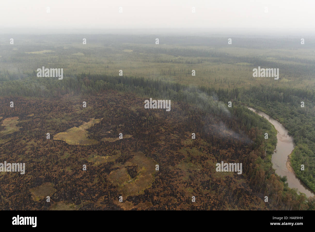 Aerial view of the Moose Creek Fire in Denali National Park, captured ...