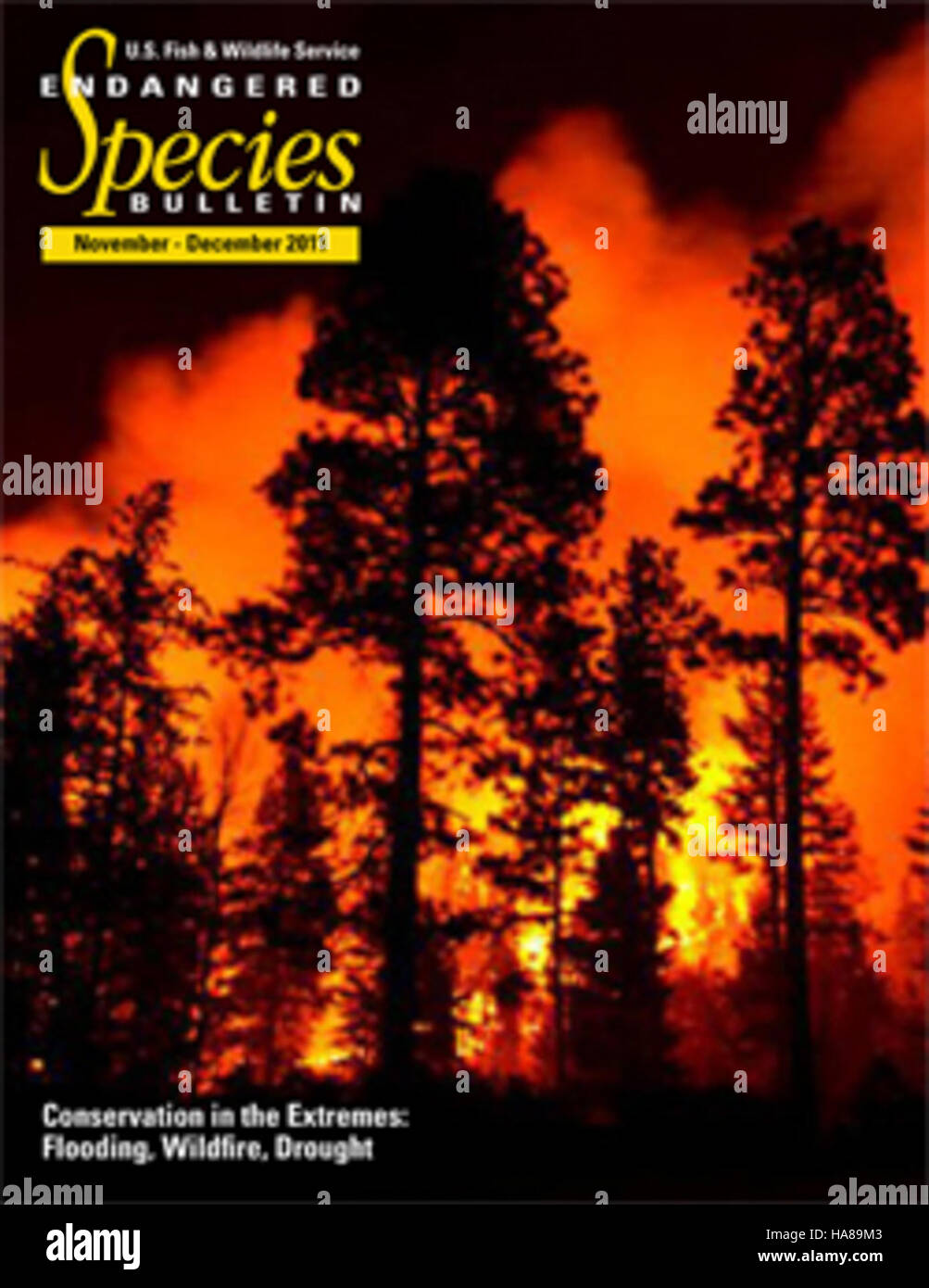 This image highlights the extreme environmental challenges faced by ...