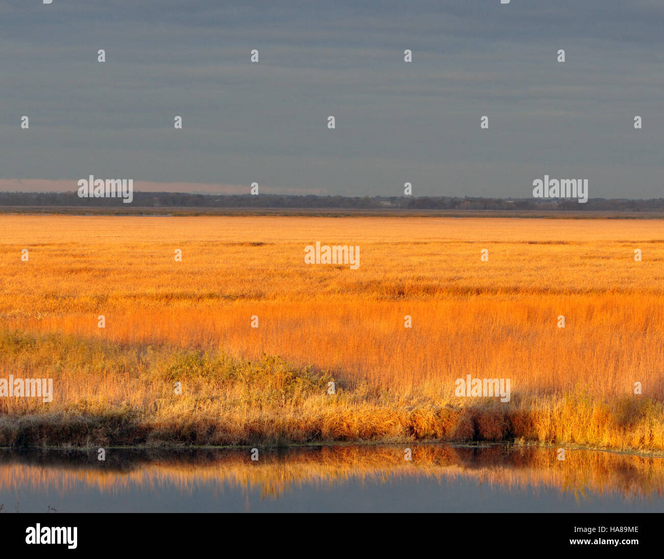 Horicon National Wildlife Refuge, also known as the Marsh of Gold, is a ...