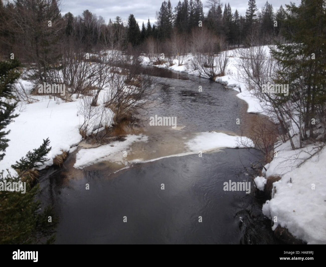 The North Branch of the Ford River in Dickinson County, Michigan, is a ...