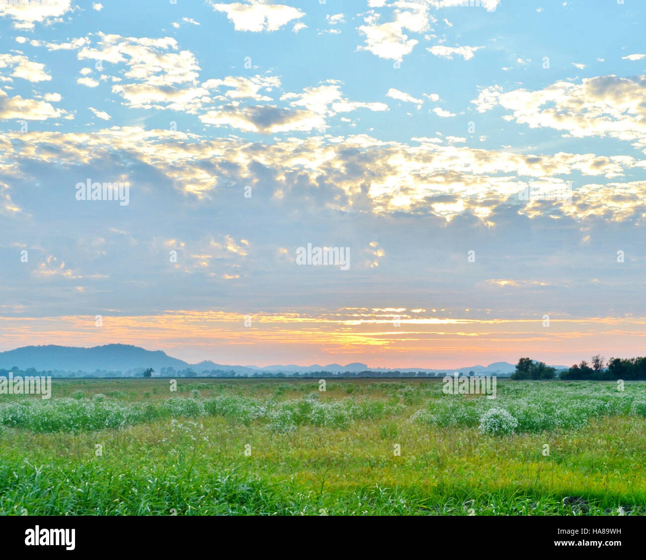 This photograph captures a stunning sunset landscape in a national park ...