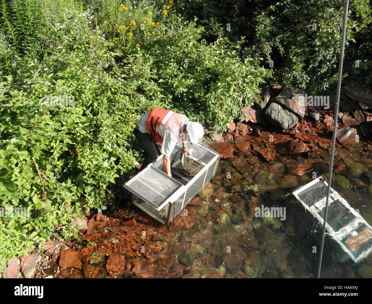 A U.S. Fish and Wildlife Service employee monitors a sea lamprey trap ...